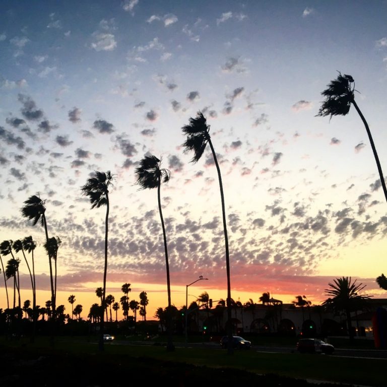 California Dreaming - Highlights 5 Tage Solo-Roadtrip Highway 1 von L.A ...